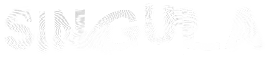 SINGULA directed by YUKIHIKO TSUTSUMI